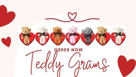 PTA Teddy Grams | Freedom Elementary